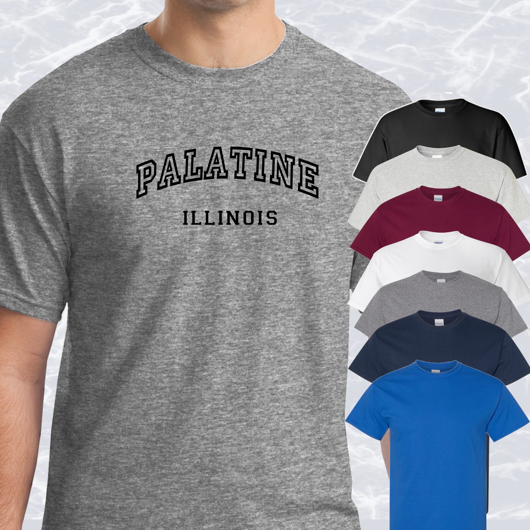 Palatine Illinois, T-Shirt, Men's/Unisex Classic Fit | Zwik | Custom T ...